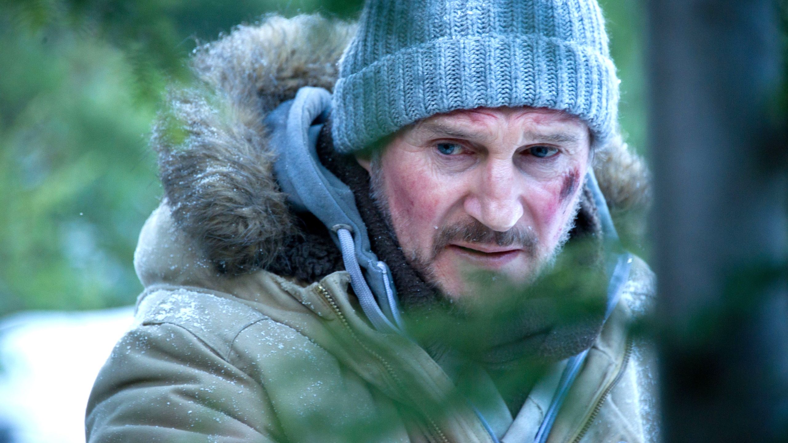 Neeson's R-Rated Masterpiece Shifts Free Streaming! - TheScreeScore